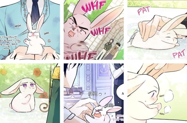 Review: Little Rabbit and the Big Bad Leopard - K-Comics Beat